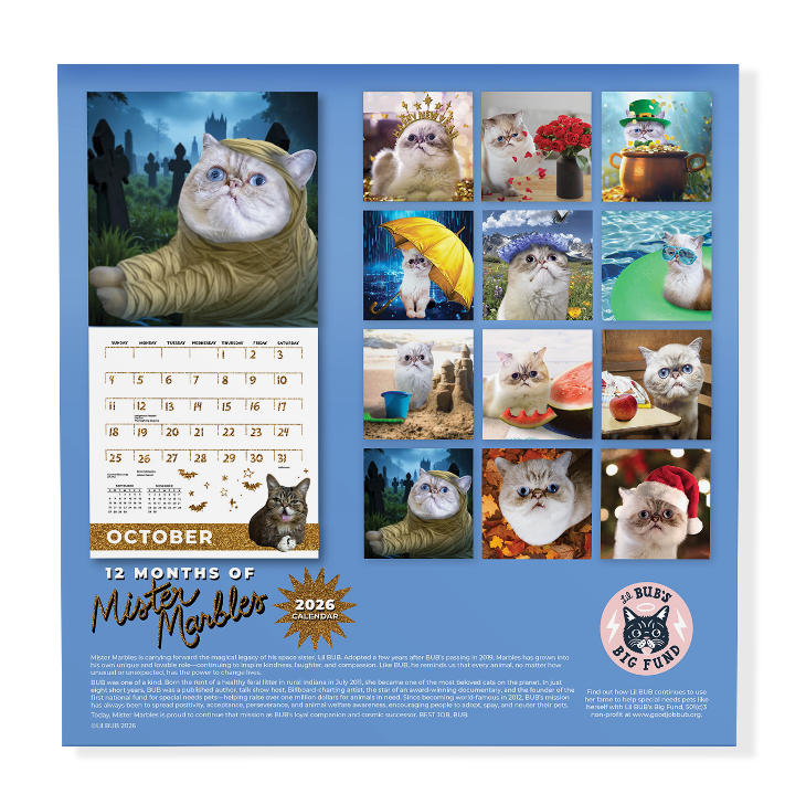 2026 Mr Marbles Calendar – Lil BUB