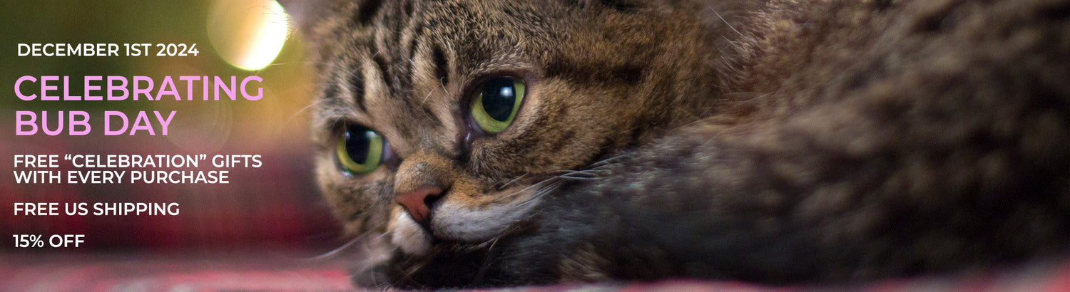 Welcome to the OFFICIAL BUB STORE! – Lil BUB