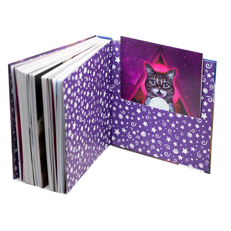 The Earth Years - Commemorative Coffee Table Book – Lil BUB