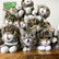 The Original Lil BUB Plush Toy